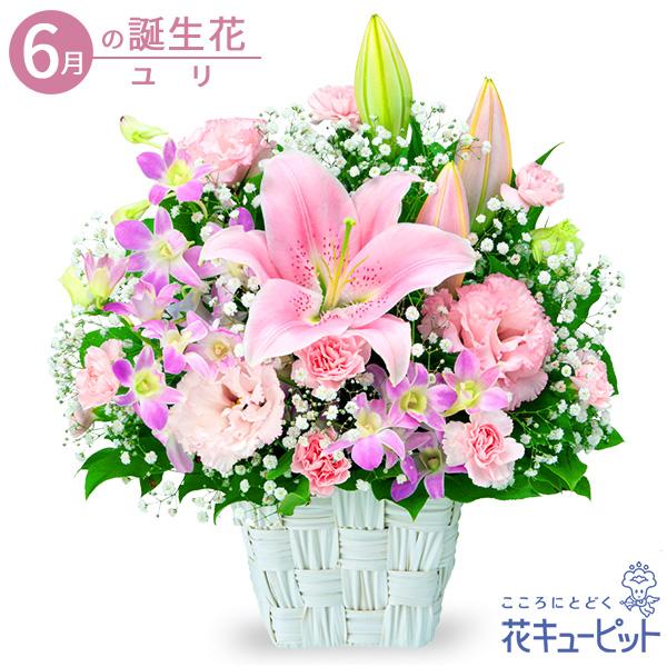 ユリとデンファレを中心に、ピンクの花々をたっぷりとアレンジしました。愛らしい色合いでまとめたアレンジメントは、恋人や奥様へのプレゼントにおすすめです。524150ピンクの花々をたっぷりとアレンジ　6月の誕生花は大きな花が美しいユリ。世代や国...