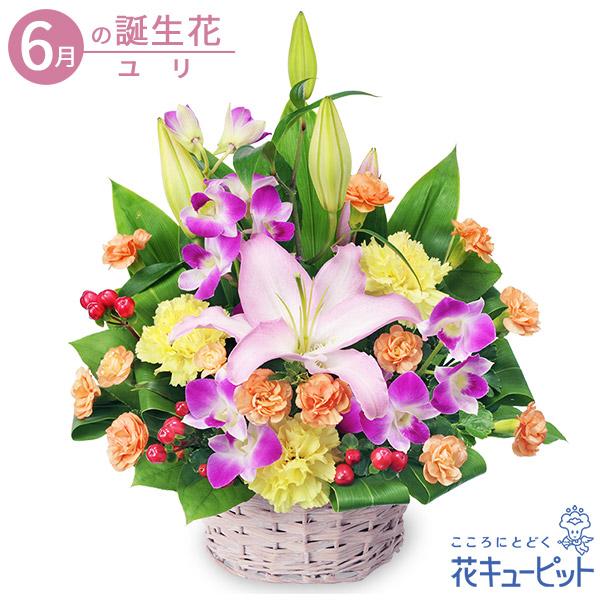 存在感のあるユリと鮮やかな花色のデンファレが豪華なアレンジメント。色とりどりの花を使って仕上げたフラワーギフトは、特にフォーマルなご用途の贈り物におすすめです。開店祝い・移転祝いのほか、昇進祝いなどのプレゼントにも選ばれています。52419...