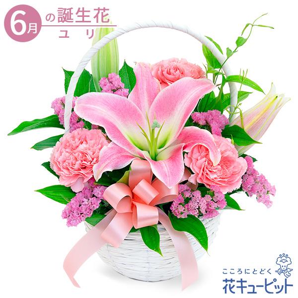 ピンクのユリが美しく映えるアレンジメント。ナチュラルな手付きのバスケットに、ピンクの花とあわせてまとめました。さりげなく添えられたリボンがポイントです。誕生日などのプレゼントにはもちろん、フォーマルな贈り物にもおすすめです。524337ナチ...