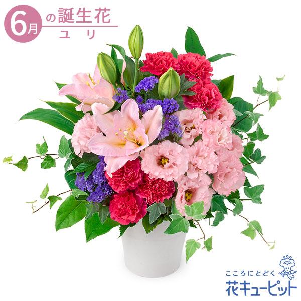 ピンクのユリを中心に鮮やかな色合いでまとめながら、グリーンをたっぷりと使ってナチュラルな印象に仕上げたアレンジメント。フォーマルな場面でも映えるボリュームです。爽やかな見た目で男性・女性を問わずにお贈りいただけるフラワーギフトです。5244...
