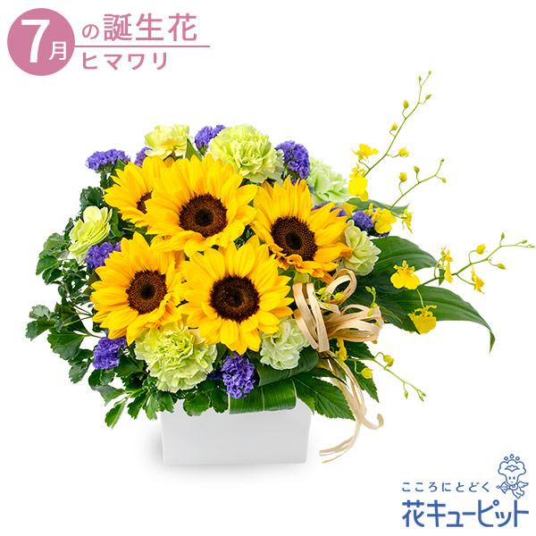 ひまわりに紫や黄色の花をあわせて、ナチュラルな印象に仕上げたアレンジメント。爽やかな見た目で男性・女性を問わずにお贈りいただけるフラワーギフトです。夏の誕生日プレゼントや退職祝いにおすすめです。524385男性にも贈りやすいナチュラルなデザ...