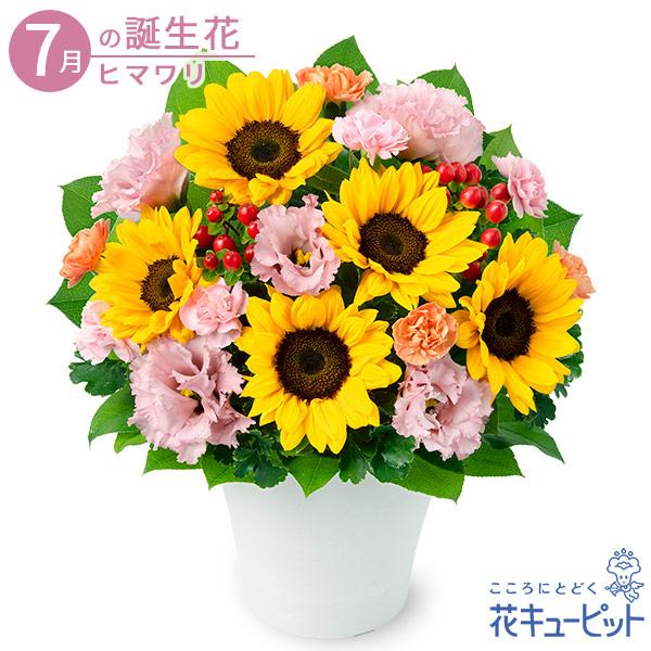 ひまわりにピンクのトルコキキョウをあわせて、ボリュームたっぷりに仕上げたアレンジメント。爽やかな見た目で夏のお祝いにぴったりなフラワーギフトです。夏の誕生日プレゼントやお中元・暑中見舞いにおすすめです。524386夏の誕生日ギフトやお中元・...