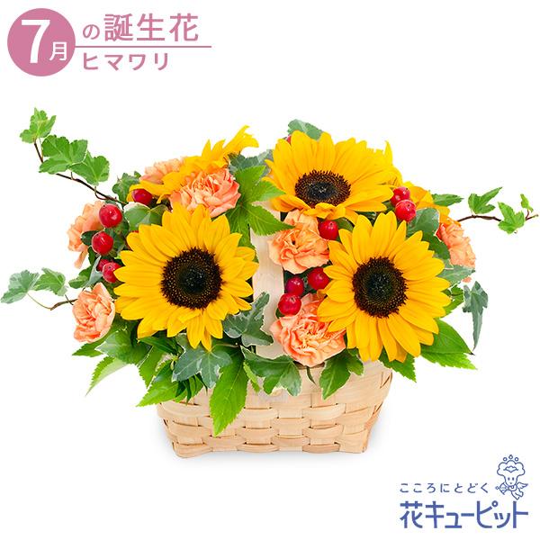 可愛らしい手付きバスケットに、ひまわりとグリーンをぎゅっと生けました。夏のきらめきを感じられる色鮮やかなひまわりが、受け取った方の気持ちを明るくしてくれます。男性・女性を問わずお贈りいただけるナチュラルなデザインです。525304夏のきらめ...