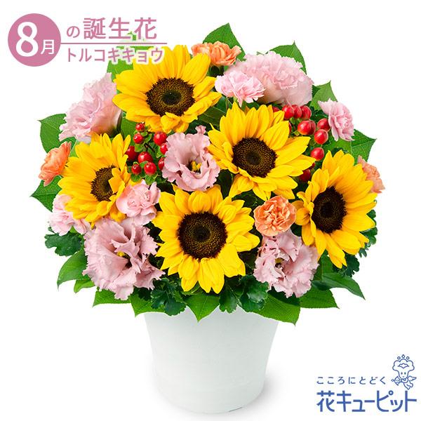 ひまわりにピンクのトルコキキョウをあわせて、ボリュームたっぷりに仕上げたアレンジメント。爽やかな見た目で夏のお祝いにぴったりなフラワーギフトです。夏の誕生日プレゼントやお中元・暑中見舞いにおすすめです。524386夏の誕生日ギフトやお中元・...