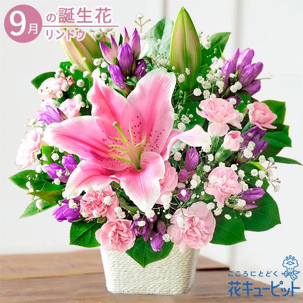 華やかな大輪のピンクユリに秋の花・リンドウを添えて、上品で落ち着いた雰囲気をプラスしています。512726華やかなピンクユリにリンドウを添えて　お誕生日に最適なプレゼント。花言葉にのせて誕生花を贈りましょう。9月の誕生花はリンドウ。花言葉は...