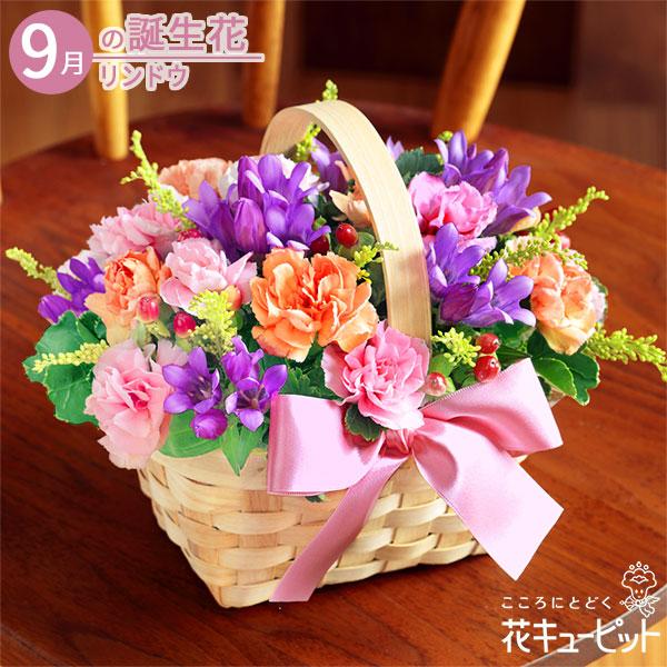 リンドウなどの秋色の花を、人気のウッドバスケットにぎゅっと詰めました。ピンクのリボンを添えた可愛らしいアレンジメントは、9月の誕生日プレゼントや退職祝いはもちろん、敬老の日のギフトにもおすすめです。【こちらの商品は9月お届け限定となります】...