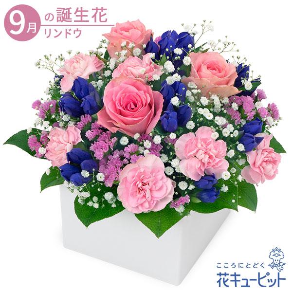 かわいらしいピンクの花々に、深い紫のリンドウが映えるアレンジメントです。プレゼントボックスのようなキューブ型の花器に、可憐な花をぎゅっと詰めました。品のあるデザインなので、目上の人へのギフトにおすすめ。幅広い年齢の方にお贈りいただけます。5...