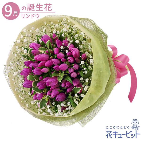 リンドウのシンプルな花束。ふわっとした丸みのあるシルエットが可愛いデザインです。秋の花であるリンドウは、9月生まれの人へ贈る誕生日プレゼントにおすすめです。525194リンドウをふわっとした可愛い花束にしました　お誕生日に最適なプレゼント。...