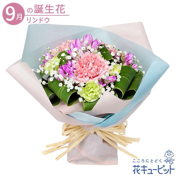 秋の花をコンパクトにまとめた可愛い花束。リンドウをはじめとするピンクの花々が、ナチュラルなラッピングに映えるデザインです。アクセントのグリーンが爽やかで、どんなお祝いのシーンでもお贈りいただけるプレゼントです。【こちらの商品は9月お届け限定...