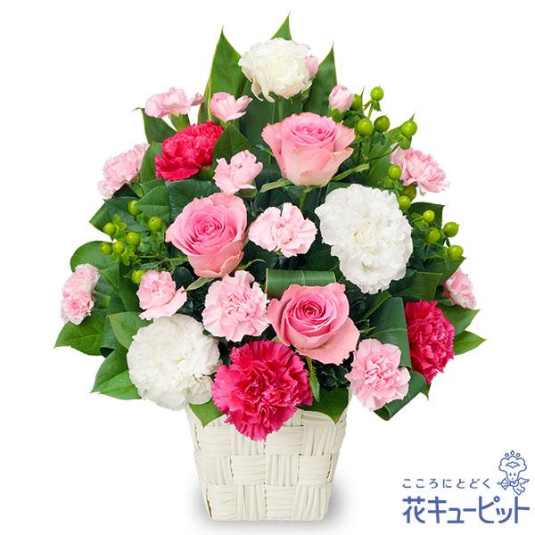 ピンクのバラとカーネーションを使った、お祝いにぴったりなアレンジメント。ピンクの濃淡のグラデーションが美しいデザインです。誕生日や記念日のプレゼント・ギフトはもちろん、開店祝いなどにもおすすめです。525148ピンクの濃淡のグラデーションが...
