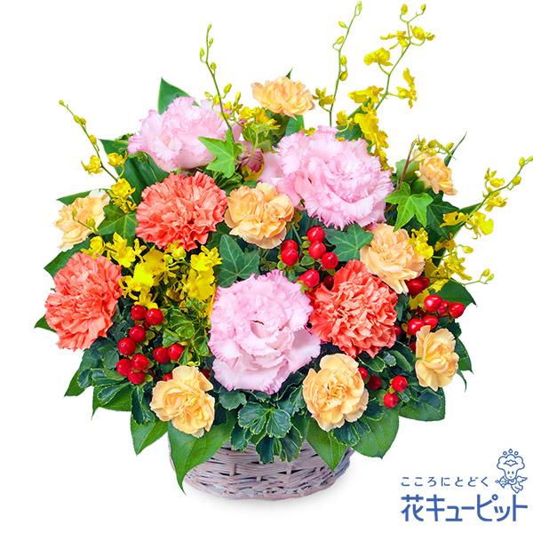 オレンジやピンクの花々でまとめた、温かみのある色合いのアレンジメント。ひらひらと舞う蝶のようなオンシジウムがアクセントです。ボリューム感があるため、お祝いのシーンを華やかに盛り立ててくれるプレゼント・ギフトです。512435オレンジとピンク...
