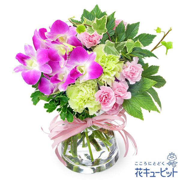 ピンクのデンファレにグリーンをたっぷりと合わせて、ナチュラルに仕上げた花束。ボリューム感のあるふんわりとしたシルエットがポイントです。届いたらそのまま飾れるよう、花瓶と一緒にお届けいたします。ご自宅に花瓶がない人へのプレゼントにもおすすめで...