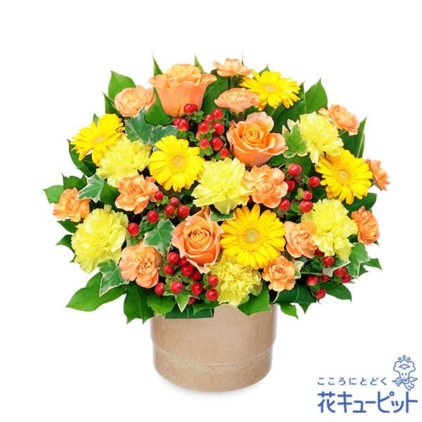バラをはじめとする黄色とオレンジの花々で、明るく温かみのあるビタミンカラーに仕上げたアレンジメント。512645明るく温かみのあるビタミンカラー　お祝いのメッセージも美しい花と一緒なら、いつまでも印象的に心に残ります。　　【こんなご用途に】...
