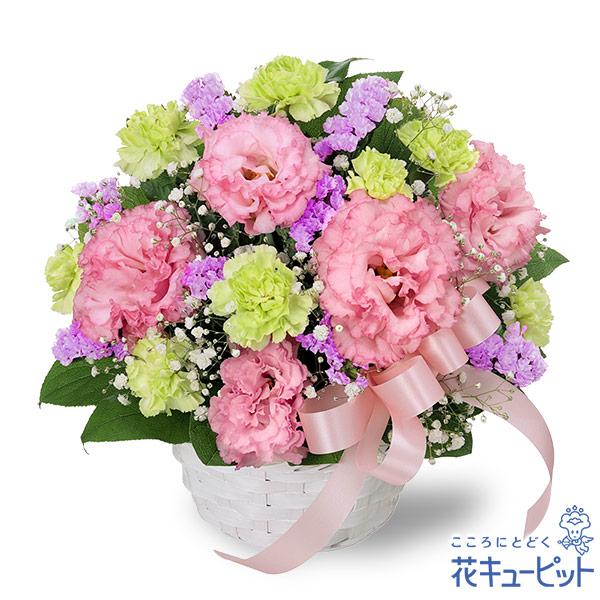 トルコキキョウの花びらはドレスのフリルのように華やかで、アレンジメントの主役になる花です。可愛らしいピンク色の中に、さわやかなグリーンの色味も合わせ、幅広い年齢層の方にお選びいただけるようアレンジしました。512753華やかなトルコキキョウ...