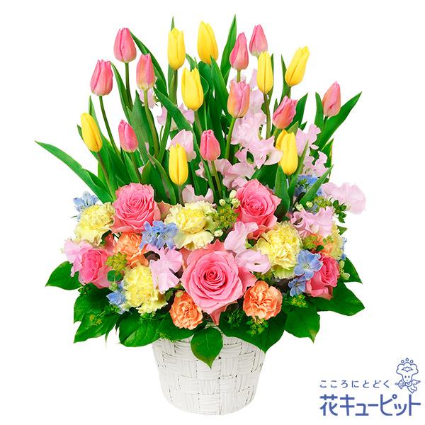 ピンクと黄色のチューリップが伸びやかに映える、ボリュームたっぷりの豪華なアレンジメント。色とりどりの花々を使ってカラフルに仕上げました。春の開店祝いや移転祝い、昇進祝いなどのフォーマルなご用途におすすめです。524030春のフォーマルなお祝...