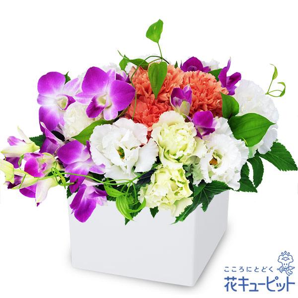 鮮やかなデンファレを中心に仕上げた、ナチュラルでさわやかなアレンジメントです。リゾートを思わせる自然な色合いが、贈るお相手に癒しの時間をプレゼントします。524147リゾートを思わせる自然な色合い　お祝いのメッセージも美しい花と一緒なら、い...