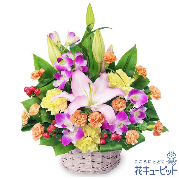 存在感のあるユリと鮮やかな花色のデンファレが豪華なアレンジメント。色とりどりの花を使って仕上げたフラワーギフトは、特にフォーマルなご用途の贈り物におすすめです。開店祝い・移転祝いのほか、昇進祝いなどのプレゼントにも選ばれています。52419...