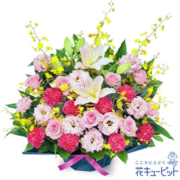 ピンクユリとオンシジウムを使用して、大きく華やかなアレンジメントに仕上げました。まるで蝶が舞っているようなオンシジウムが、お祝いのシーンを盛り上げてくれます。開店・開業祝い、移転・引っ越し祝い、昇進祝いなどのフォーマルな用途におすすめな花ギ...