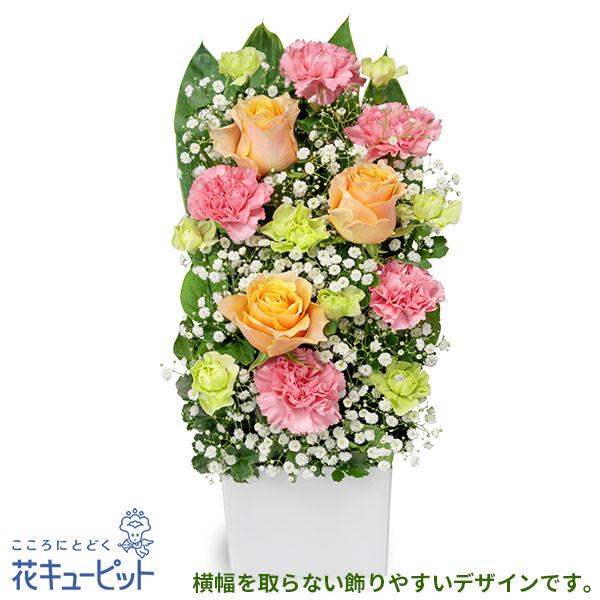 横幅が小さくスペースを取らないため、花を受け取ったお相手が飾る場所に困らないデザインです。「絆」「信頼」といった花言葉をもつオレンジのバラが、お祝いの気持ちを伝えてくれるプレゼント。花を飾る場所が限られているときや、小さめなお店・事務所への...
