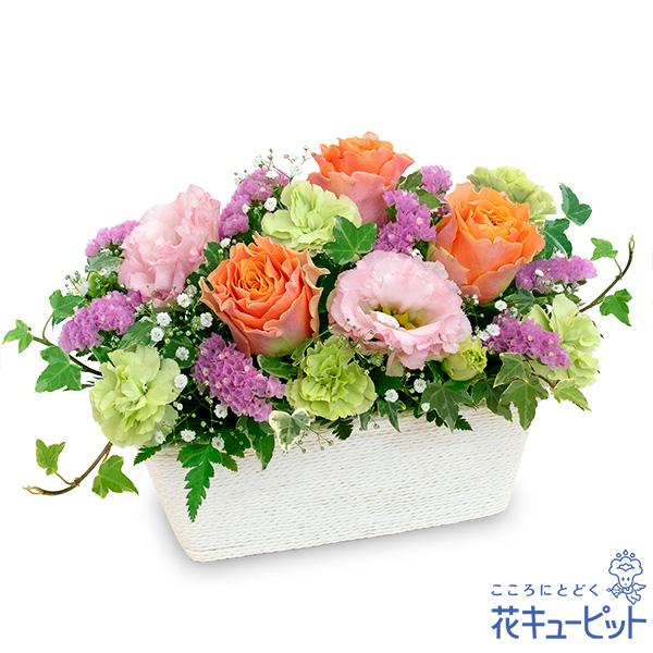 人気の高いバラを使ったアレンジメント。オレンジバラは高級感と親しみやすさがあり、どの年代からも愛される花です。誕生日プレゼントや開店祝い、退職祝いなどの贈り物としてはもちろん、日頃の感謝を伝えるギフトにも最適です。524327高級感と親しみ...