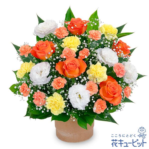 オレンジバラなどの花々をたっぷりと生けた、シンプルでボリュームのあるアレンジメント。オレンジと黄色の組み合わせに白の花を合わせて、親しみやすさの中に上品さがある印象に仕上げたギフトです。目上の人へのプレゼントや、退職祝い、開店祝い・移転祝い...