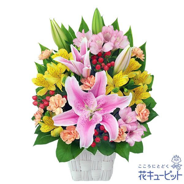 上品で存在感のあるピンクのユリと、黄色のアルストロメリアをあわせたアレンジメント。高さ40cmとボリュームがあるため、フォーマルなお祝いのシーンに最適なプレゼントです。開店祝いや移転祝いのギフトとしてお贈りください。525168フォーマルな...