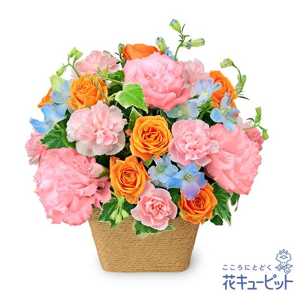 鮮やかなオレンジのスプレーバラと、爽やかな青系の小花が映えるアレンジメント。男性にも人気な花々を使っているため、男性・女性を問わずにお贈りいただけるフラワーギフトです。誕生日のプレゼントや退職祝い・送別会のギフトなどにおすすめです。5252...