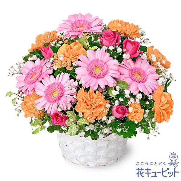 ピンク色のキュートなお花をたっぷり使いました。ふんわりとしたアレンジメントのフォルムは可愛らしい印象に。ピンクガーベラの花言葉は「感謝」。日頃の思いをお花で伝えてみませんか？525206ピンクが大好きな方へたっぷりなお花をお届け　お祝いのメ...