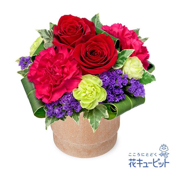 赤バラを中心に、大人っぽい色合いに仕上げたアレンジメント。525321大人っぽい色合いに仕上げました　お祝いのメッセージも美しい花と一緒なら、いつまでも印象的に心に残ります。　　【こんなご用途に】お祝い・退職祝い・歓送迎・還暦祝い・結婚祝い...