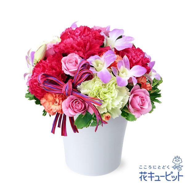 デンファレと色鮮やかな花々を、ぎゅっと詰め込んで仕上げました。ポップで明るい雰囲気のアレンジメントが、大切な人に笑顔と元気をお届けいたします。525241ポップで明るい雰囲気のアレンジメント　出産祝いのお祝いは、赤ちゃんにふさわしいフレッシ...