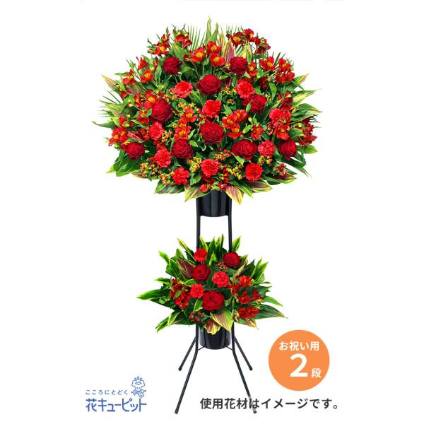 開店・開業祝いや、発表会やセレモニーにぴったりなスタンド花です。特別なお祝いのシーンを、より一層豪華に盛り立てます。赤系の花を使って、情熱的で高級感のあるスタンド花に仕上げました。2段のスタイルでお届けいたします。【スタンド等の花器はレンタ...