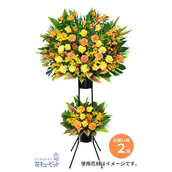 開店・開業祝いや、発表会やセレモニーにぴったりなスタンド花です。特別なお祝いのシーンを、より一層豪華に盛り立てます。黄色系＆オレンジ系の花を使って、気持ちが高まるビタミンカラーのスタンド花に仕上げました。2段のスタイルでお届けいたします。【...