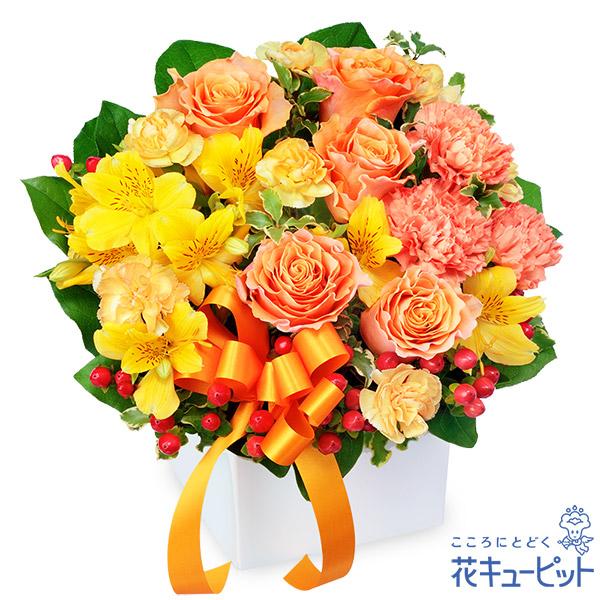 オレンジのバラをふんだんに使用した、ボリュームたっぷりなアレンジメント。シンプルな白いキューブと艶やかなオレンジのリボンが、高級感あふれる仕上がりとなっています。結婚記念日などの特別なお祝いにおすすめなプレゼント・ギフトです。525156白...