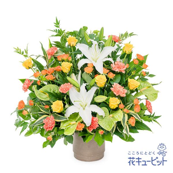 事務所や店舗等の広い空間にも飾って映える、ワンランク上の大型アレンジメントです。開店開業祝いや、事務所移転のお祝いなどにもぴったりです。幸せを呼ぶイエローオレンジカラーです。525290幸せを呼ぶビタミンカラーでお祝いを彩ります　開店祝いは...