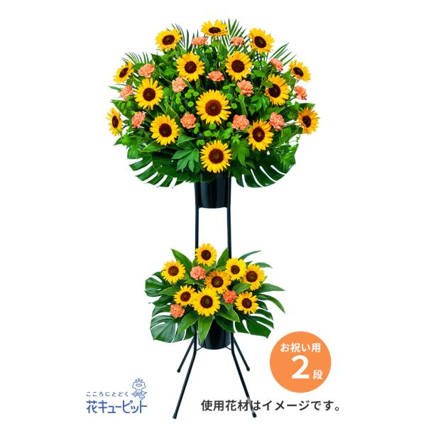 明るいひまわりを使用した、夏のお祝いにぴったりなスタンド花です。ひまわり中心に仕上げた爽やかなスタンド花は、発表会やセレモニーでも目を引くはず。特別な方への開店祝い・開業祝いにぜひプレゼントしてください。2段のスタイルでお届けいたします。【...