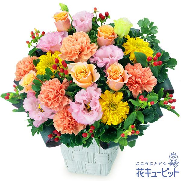 バラやトルコキキョウなど可愛らしいお花をたっぷり楽しめるように仕上げました。柔らかな色合いの花々が、贈り物にぴったりなアレンジメントです。525242柔らかな色合いのお花をたっぷり使ったアレンジメント　新築やお引っ越しの晴れやかな気持ちを、...