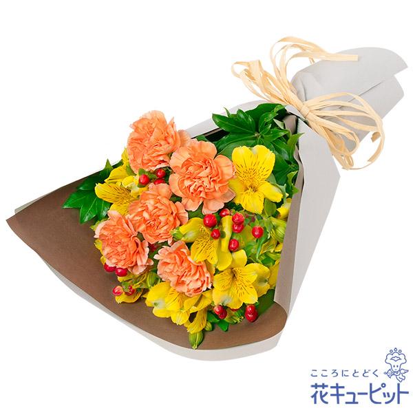 黄色のアルストロメリアを中心に、明るいビタミンカラーで仕上げた花束。エキゾチックな花姿が魅力的なアルストロメリアの花言葉は「未来への憧れ」。希望を感じられる花言葉は、退職祝いや快気祝いのプレゼントにおすすめです。524316希望を感じられる...