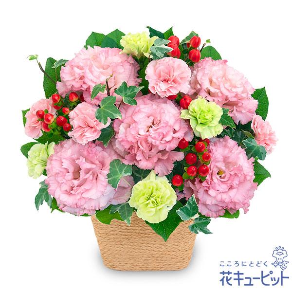 ピンクのトルコキキョウでボリュームたっぷりに仕上げたアレンジメント。レースのように重なるトルコキキョウの花びらは見ごたえがあります。誕生日や結婚記念日のお祝いはもちろん、開店祝いのようなフォーマルなご用途にもお贈りいただけるフラワーギフトで...