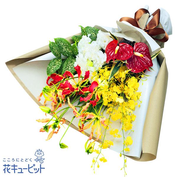 華やかな花たちをふんだんに使った花束です。ボリュームがあり豪華な花束のため、大切なシーンでインパクトを残したい時におすすめのフラワーギフトです。525079ボリュームがあり豪華な花束　退職祝いは明るく、晴れやかに。季節の花たちが記念すべき日...