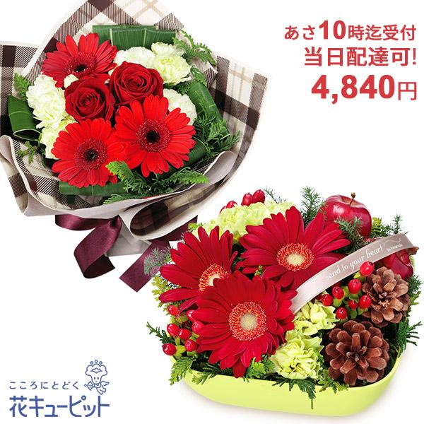 当日配達可能のクイックサービス！受付時間をご確認ください。q03999当日配達可能のクイックサービス！　お急ぎギフトは花キューピットで！朝１０時迄のご注文で当日届く特急便。　　【こんなご用途に】退職祝い　歓送迎　昇進祝い 【使用花材】　 翌...