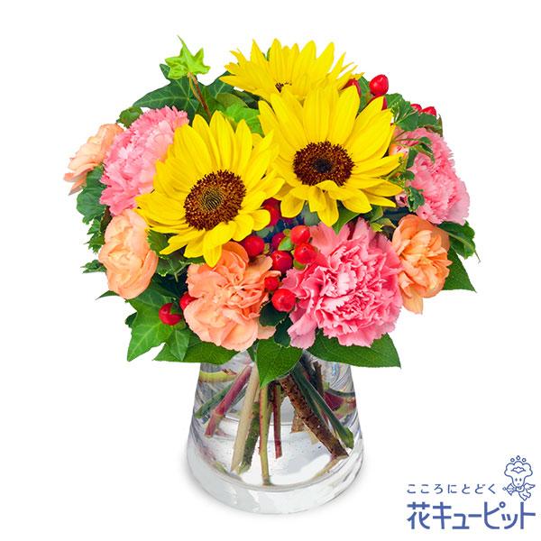 夏らしいひまわりと、ピンクやオレンジの花々をまとめた花瓶付きの花束。花瓶の水が涼しげな、夏にぴったりのギフトです。届いたらそのまま置けるギフトなので、贈った相手の人が簡単に飾ることができます。ご自宅に花瓶がない人へのプレゼントにもおすすめで...