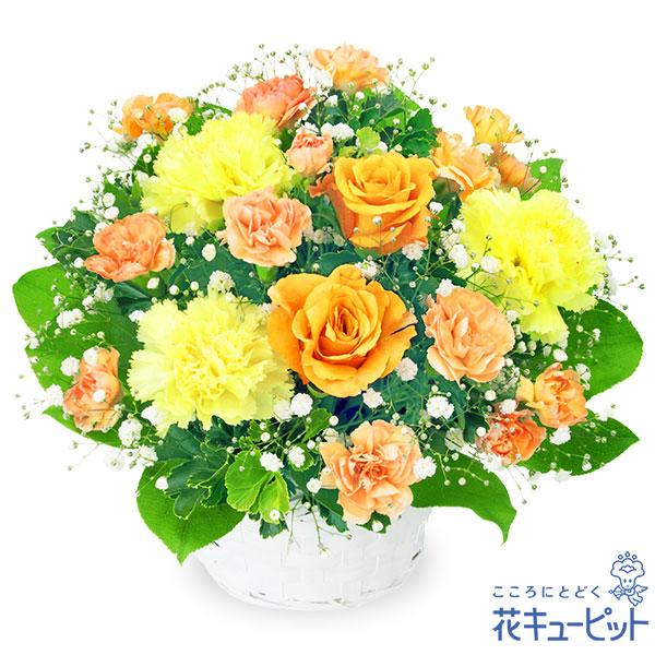 バラを中心に、オレンジ＆黄色のビタミンカラーでまとめたアレンジメントです。様々なお祝いはもちろん、日頃の感謝を伝えるプレゼントにもおすすめ。上品な雰囲気で、フォーマルな場面にも適しています。511999様々なシーンに適したビタミンカラーのア...