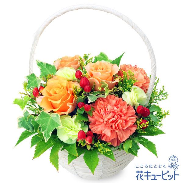 オレンジのお花を集めて、ナチュラル＆メルヘンチックに仕上げたアレンジメント。どこから見てもお花を楽しめる 四方見のスタイルなので、飾る場所を選びません。525087ナチュラルなオレンジ＆グリーンのアレンジ　退院祝い・快気祝いのプレゼントにフ...
