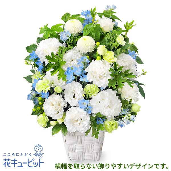 白と青の花々で爽やかにまとめたお供えのアレンジメント。横幅が小さめでスペースを必要としないため、お部屋に飾りやすいデザインです。故人への想いはもちろん、ご遺族を気遣う気持ちも伝えることができます。512410横幅が小さめでお部屋に飾りやすい...