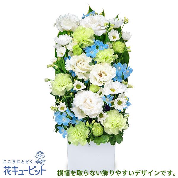 白と青の花々で爽やかにまとめたお供えのアレンジメント。横幅が小さくスペースを取らないため、花を受け取ったご遺族が飾る場所に困らないデザインです。故人への想いはもちろん、ご遺族を気遣う気持ちも伝えることができます。512493横幅を取らない飾...