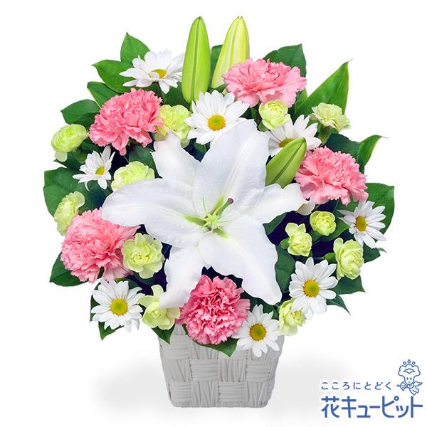 白ユリを中心に、優しく穏やかな雰囲気に仕上げたお供えのアレンジメント。温かみのあるピンクの花が、故人への想いをそっと届けてくれます。色の入ったアレンジメントは、四十九日法要以降に贈るのがよいとされています。512729温かみのあるピンクの花...