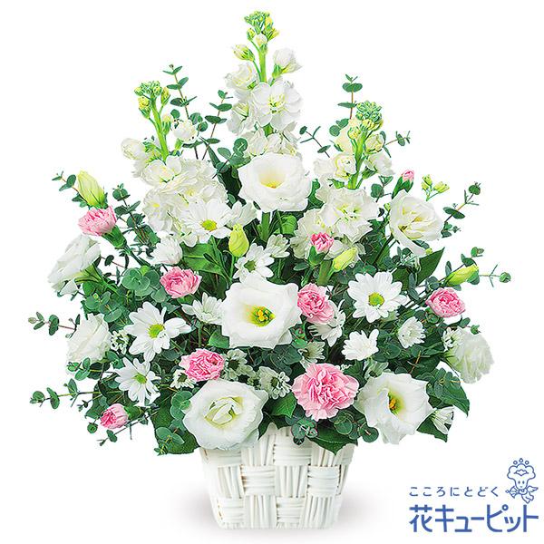 優しい色づかいの哀悼の花として最適なアレンジメント524056哀悼の花として最適なアレンジメント　お悔やみのお花を地域のしきたりにあわせお花のプロがご用意いたしますので、安心してご利用いただけます。　　【こんなご用途に】お供え、弔事、お悔や...
