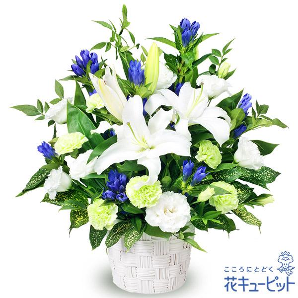 白や青の花をすっきりとまとめたアレンジメント。哀惜の気持ちを花に表現しました。524092白と青の花が哀惜の気持ちを表現。　お悔やみのお花を地域のしきたりにあわせお花のプロがご用意いたしますので、安心してご利用いただけます。　　【こんなご用...