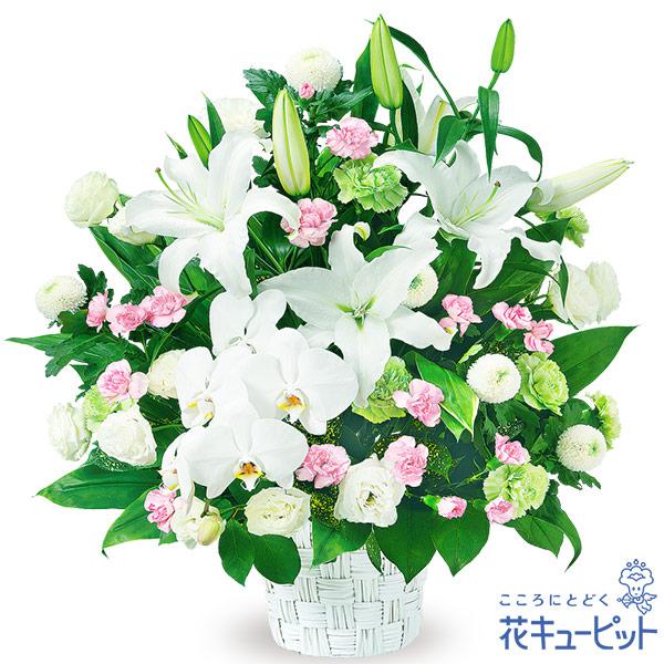 格調高い白いユリと胡蝶蘭にほんのり淡いピンクを差し色にしたやわらかい色合いのアレンジメントです。524094格調高い白いユリと胡蝶蘭のやわらかい色合いのアレンジメント　お悔やみのお花を地域のしきたりにあわせお花のプロがご用意いたしますので、...