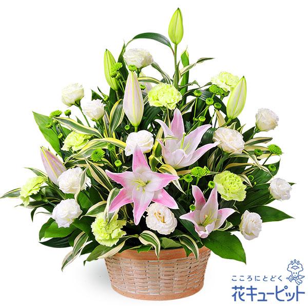 ピンクのユリが優しい色合いのアレンジメント。優しかったあの方を偲んで。524098ピンクのユリを使った、優しさが伝わるアレンジメント　お悔やみのお花を地域のしきたりにあわせお花のプロがご用意いたしますので、安心してご利用いただけます。　　【...